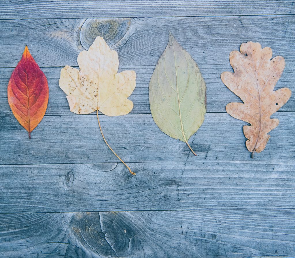 Distinguishing Tropes, Figures, Themes, and Motifs | MLA Style Center